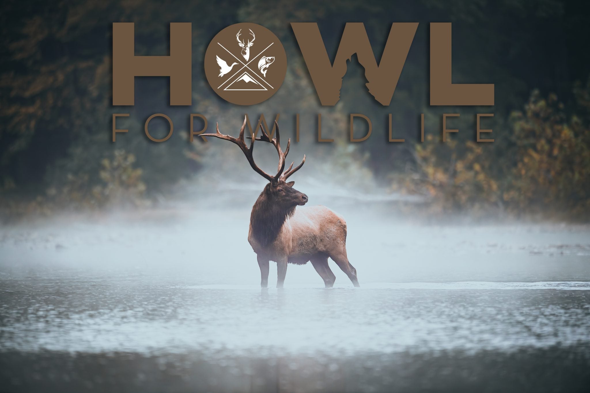 Howl For Wildlife Store – HowlForWildlife